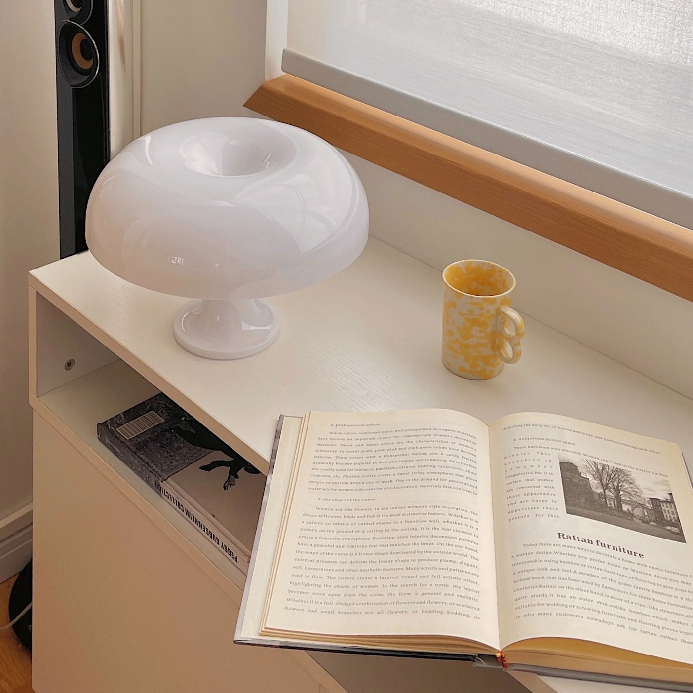 Glossy Acrylic Mushroom Shade Table Lamp – Nordisk Flair